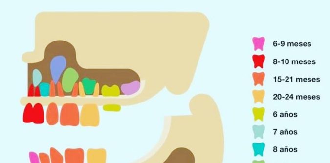 INFORMACIÓN archivos - CLÍNICA DENTAL ORTODENT - MAGAZINE
